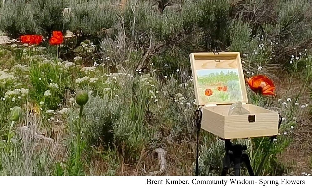 Spring Flowers: Community Wisdom — Learn to Paint Podcast