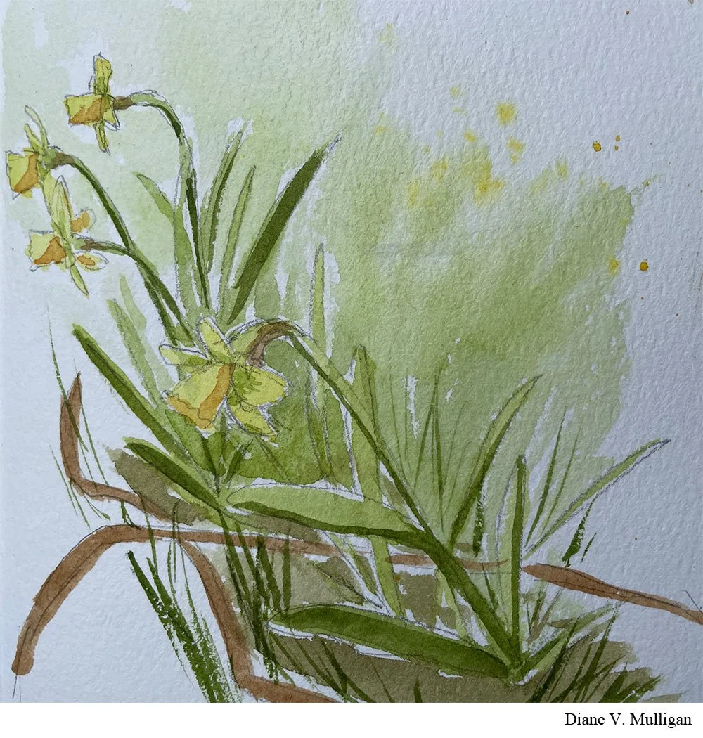 A Celebration of Daffodils — Learn to Paint Podcast