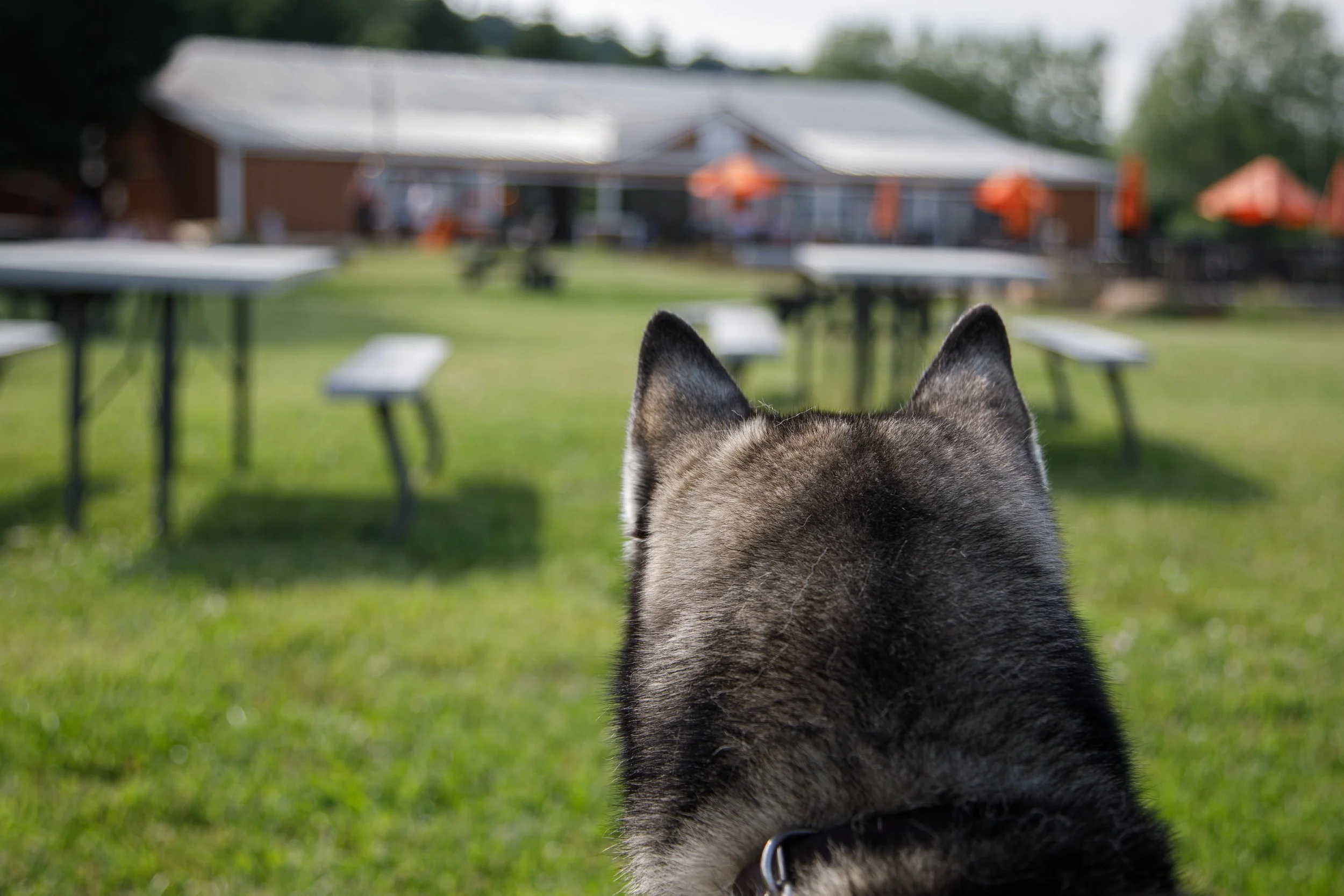 Henway Hard Cider - Family-Owned, Orchard and Cider Barn