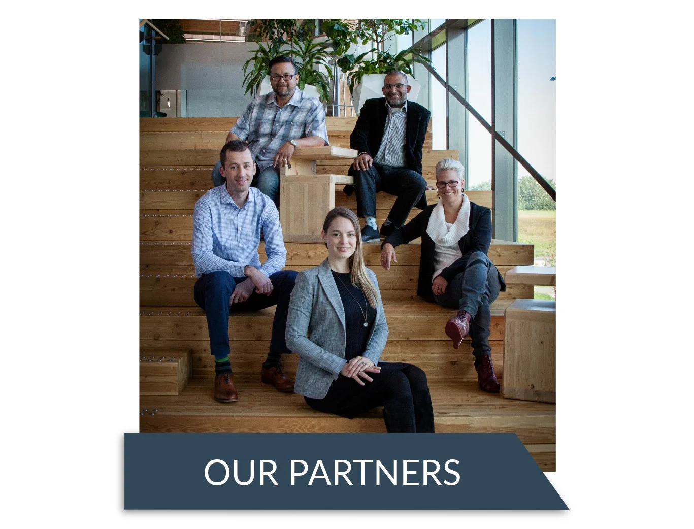 About — Ecosynergy