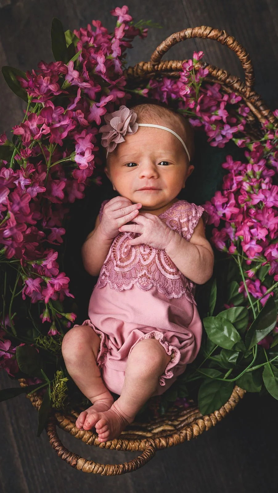 Celebrating Birthdays With Mini Anna Photography — Mini Anna Photography