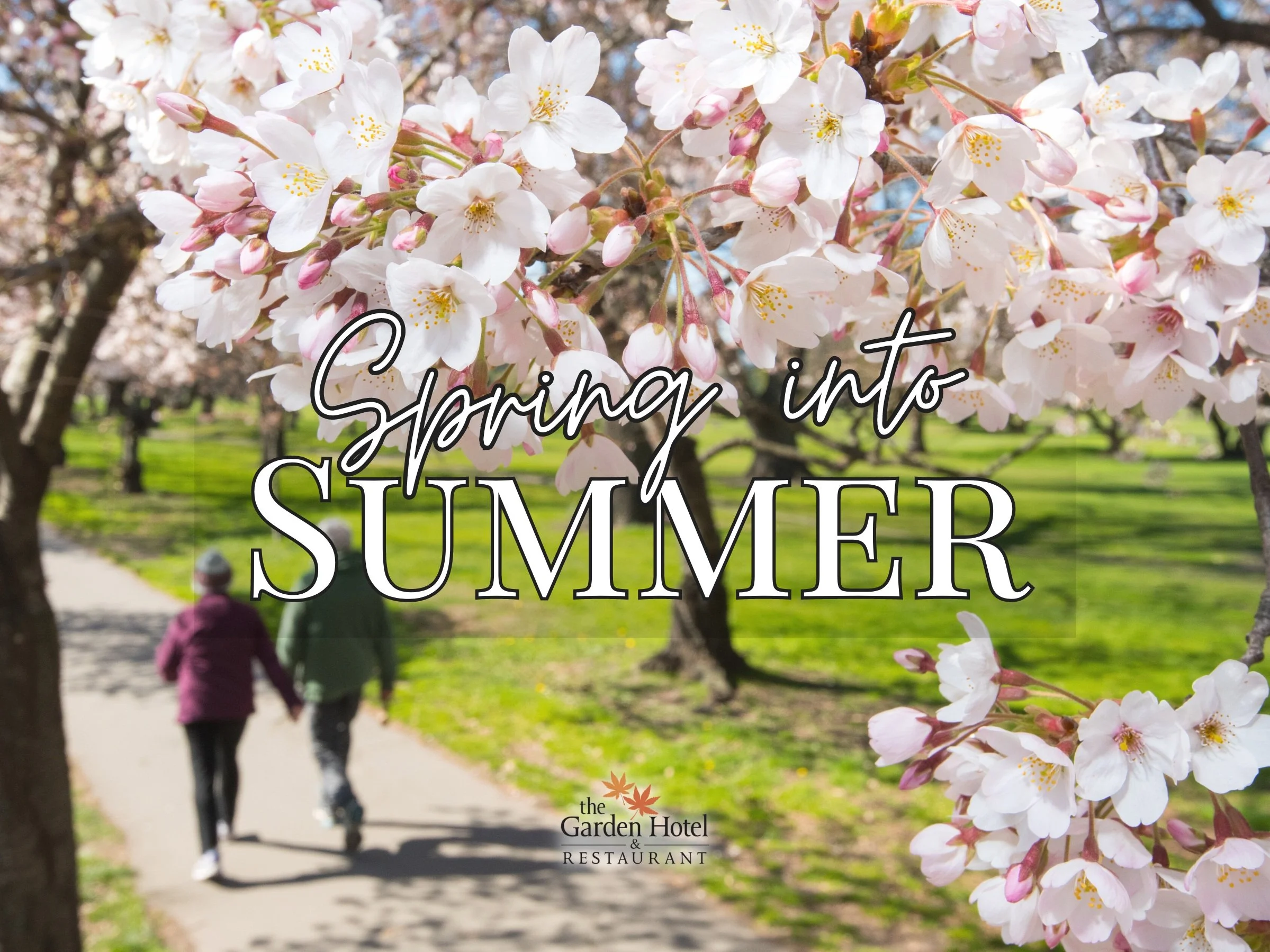 Garden Hotel & Restaurant | Christchurch Hotel Accommodation