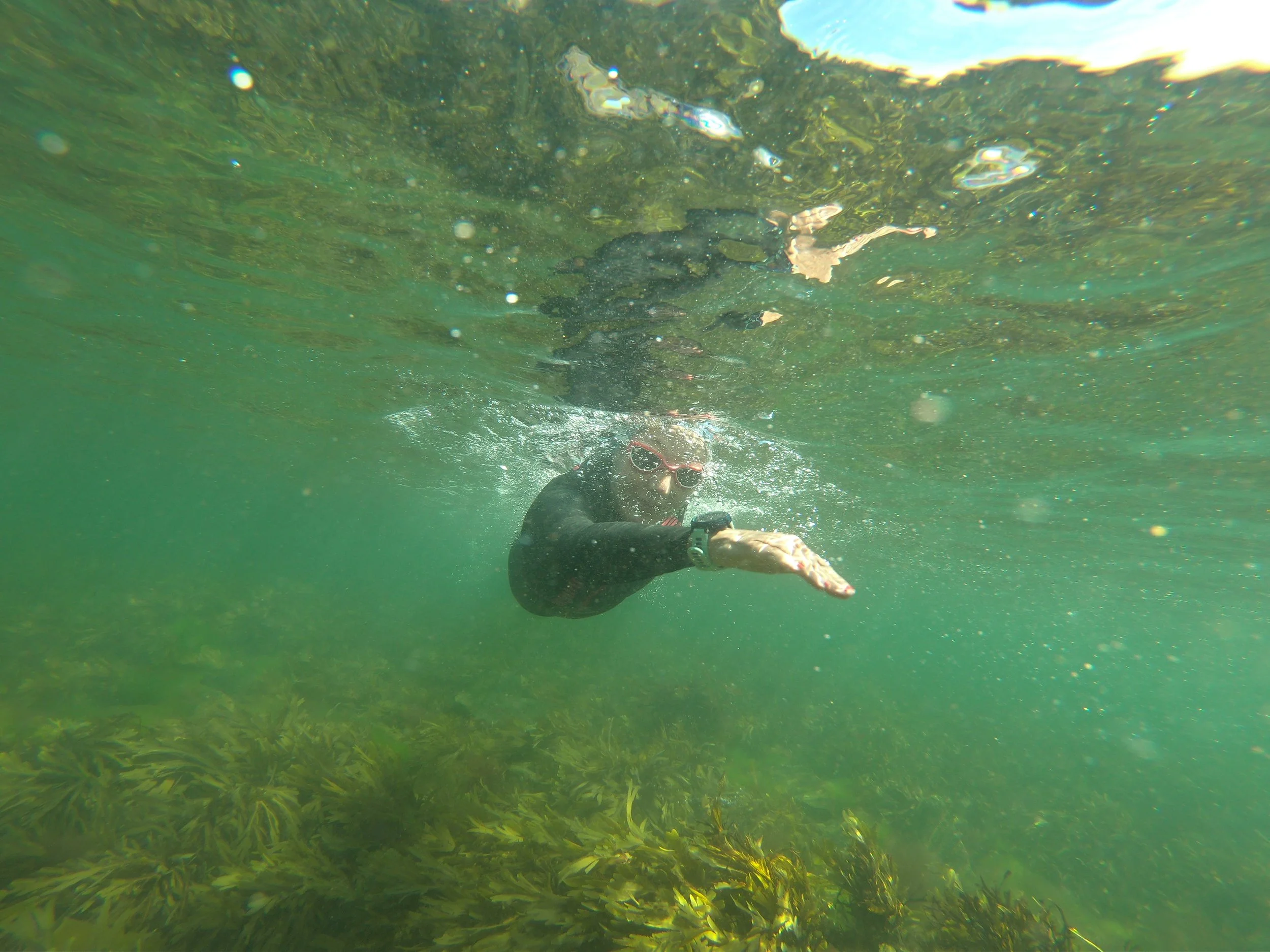 Sea Swim Cornwall's guide to 2024 — Sea Swim Cornwall