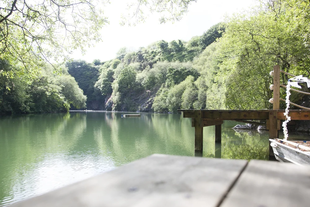 Full Moon Night Swim — Sea Swim Cornwall