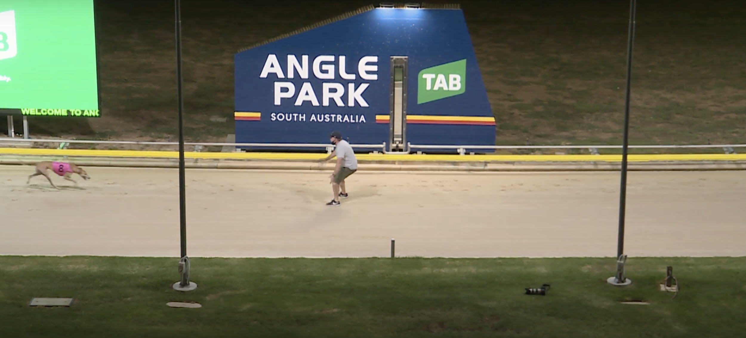 Greyhound Racing Finish Line