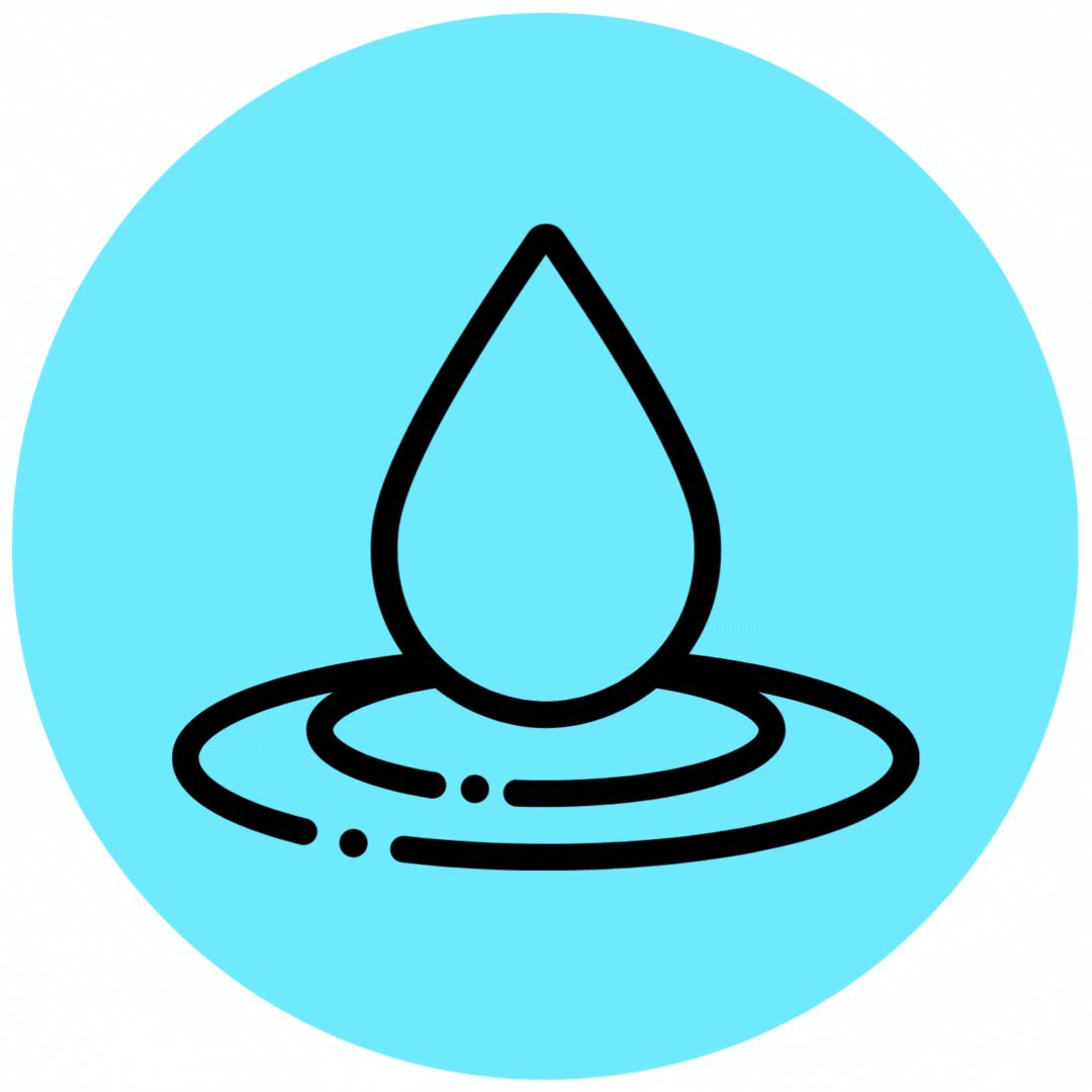 Micronutrient Menu — Helios