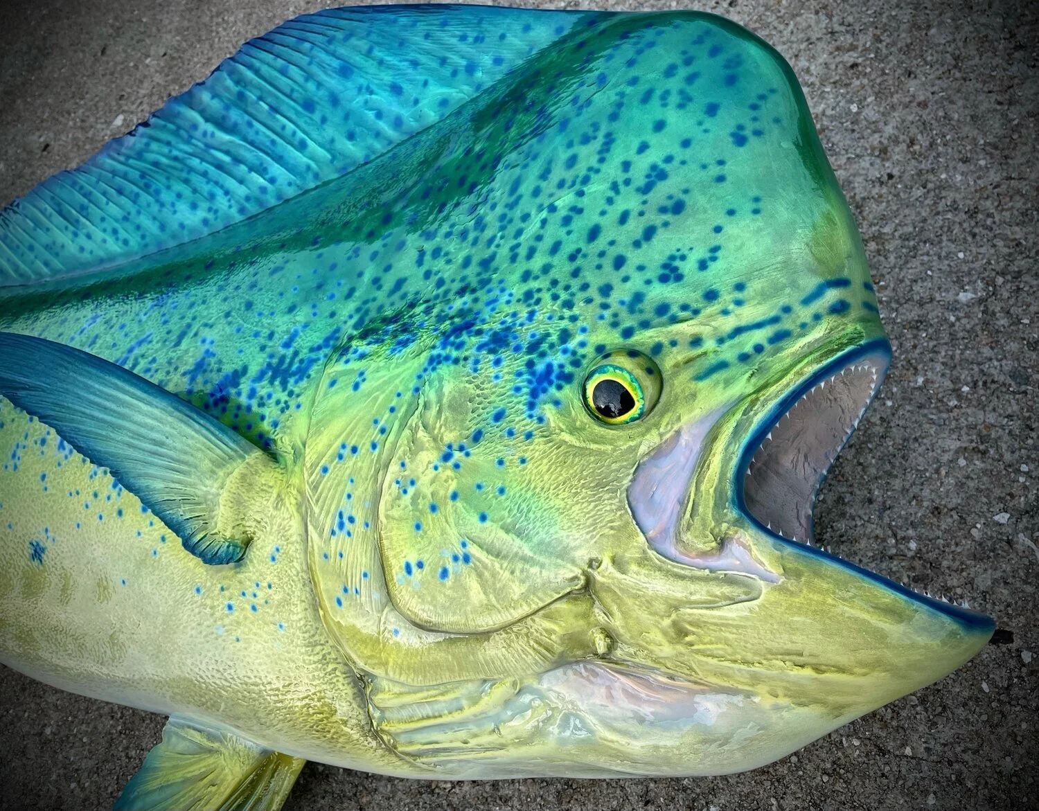 Living Water Fish Replicas - Quality Fish Taxidermy, Fish Mounts & Fish ...