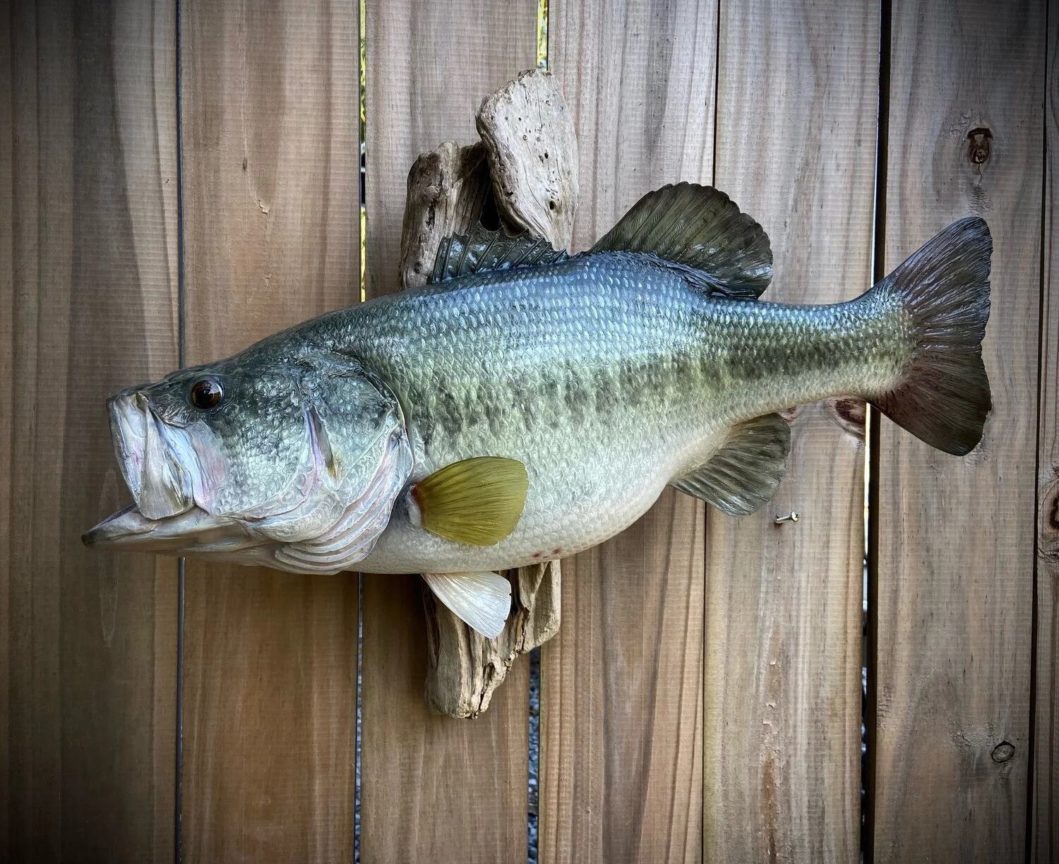 Living Water Fish Replicas - Quality Fish Taxidermy, Fish Mounts & Fish ...