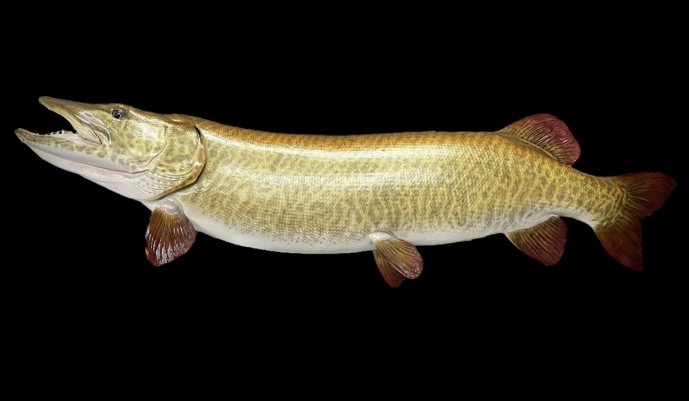 Living Water Fish Replicas - Quality Fish Taxidermy, Fish Mounts & Fish ...