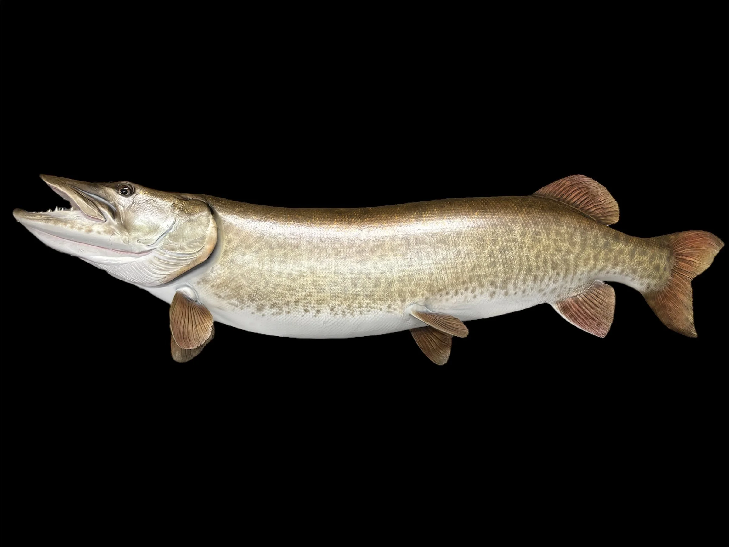 Living Water Fish Replicas - Quality Fish Taxidermy, Fish Mounts & Fish ...