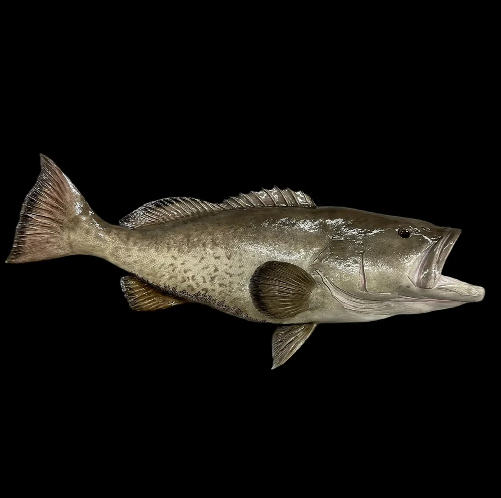 Living Water Fish Replicas - Quality Fish Taxidermy, Fish Mounts & Fish ...