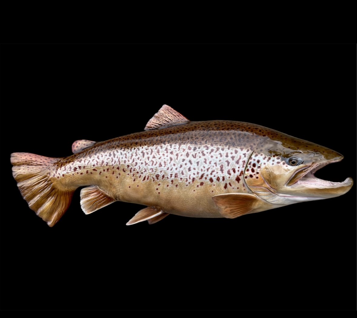 Living Water Fish Replicas - Quality Fish Taxidermy, Fish Mounts & Fish ...