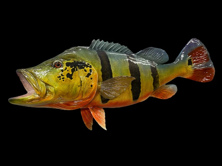 Living Water Fish Replicas - Quality Fish Taxidermy, Fish Mounts & Fish ...