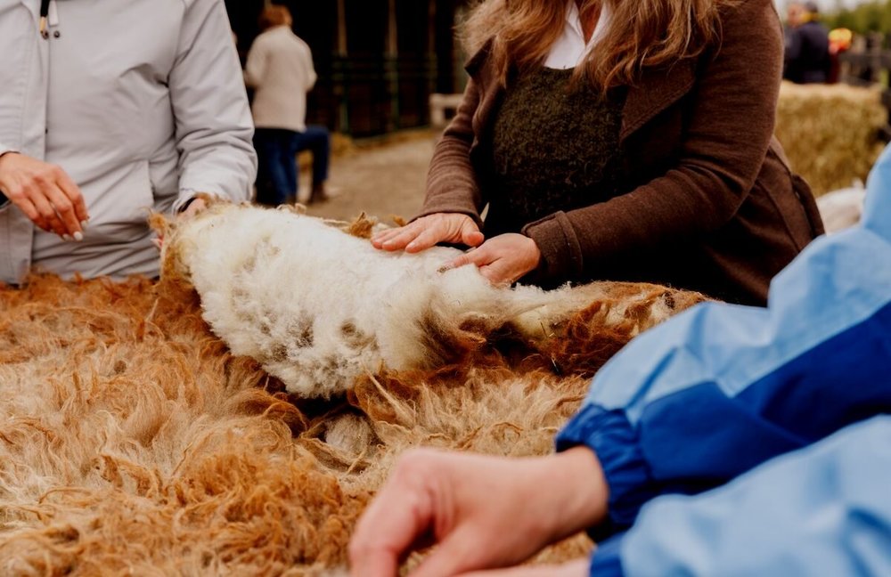 Connecting Canadian Wool to the World