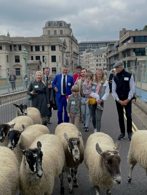 Campaign for Wool Canada