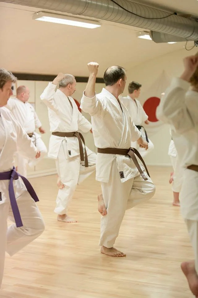 Fjellsiden Karateklubb