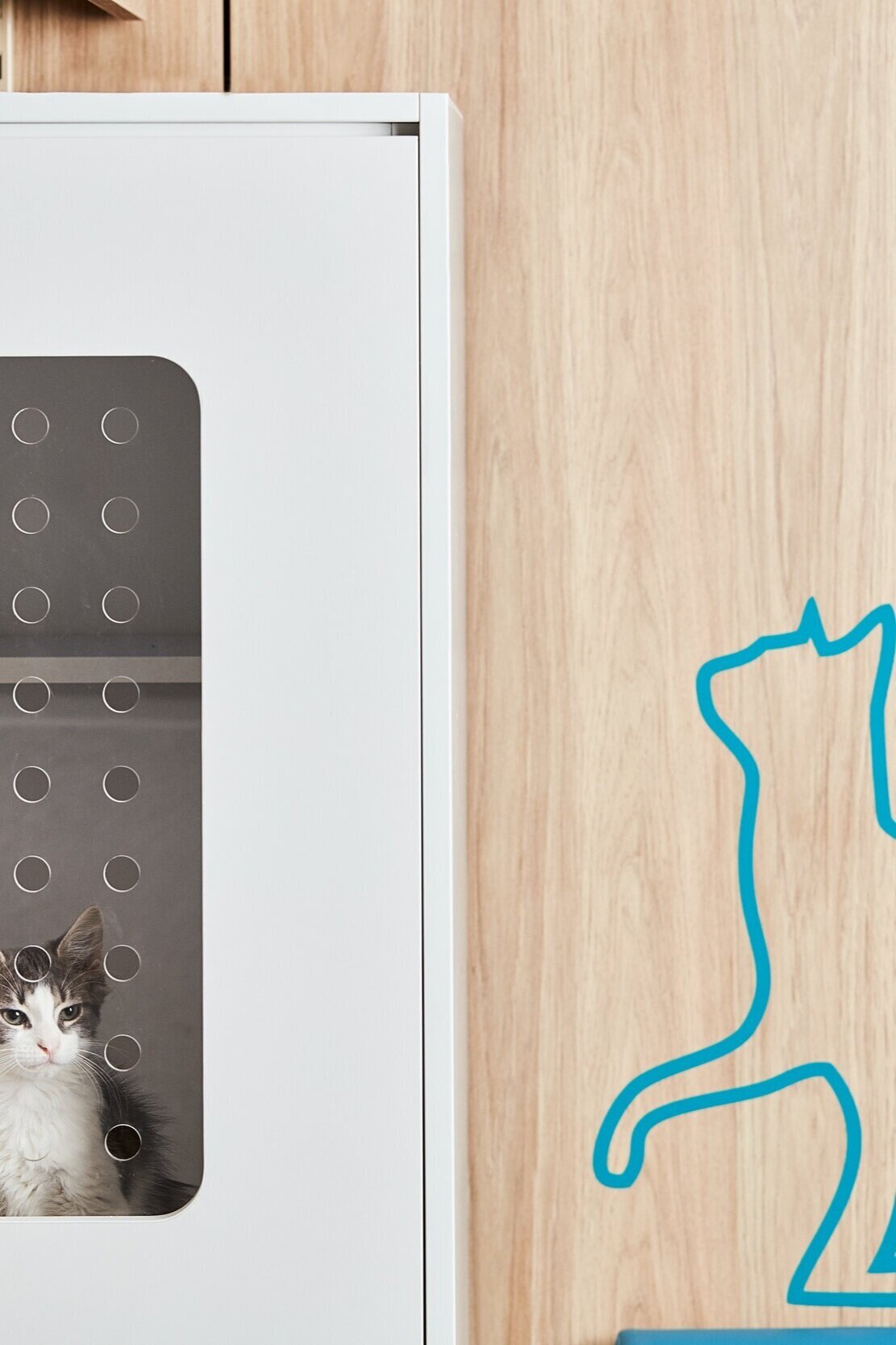 Vets on Parker - Veterinary Interior Design — Within Design