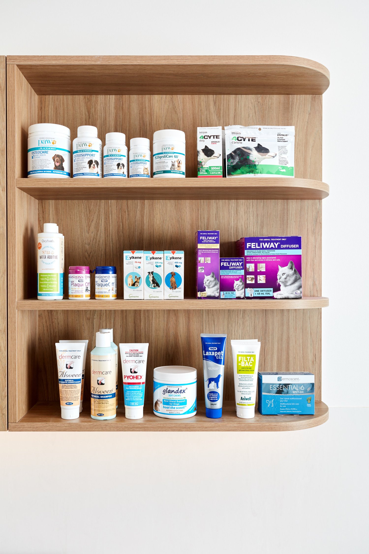 Vets on Parker - Veterinary Interior Design — Within Design