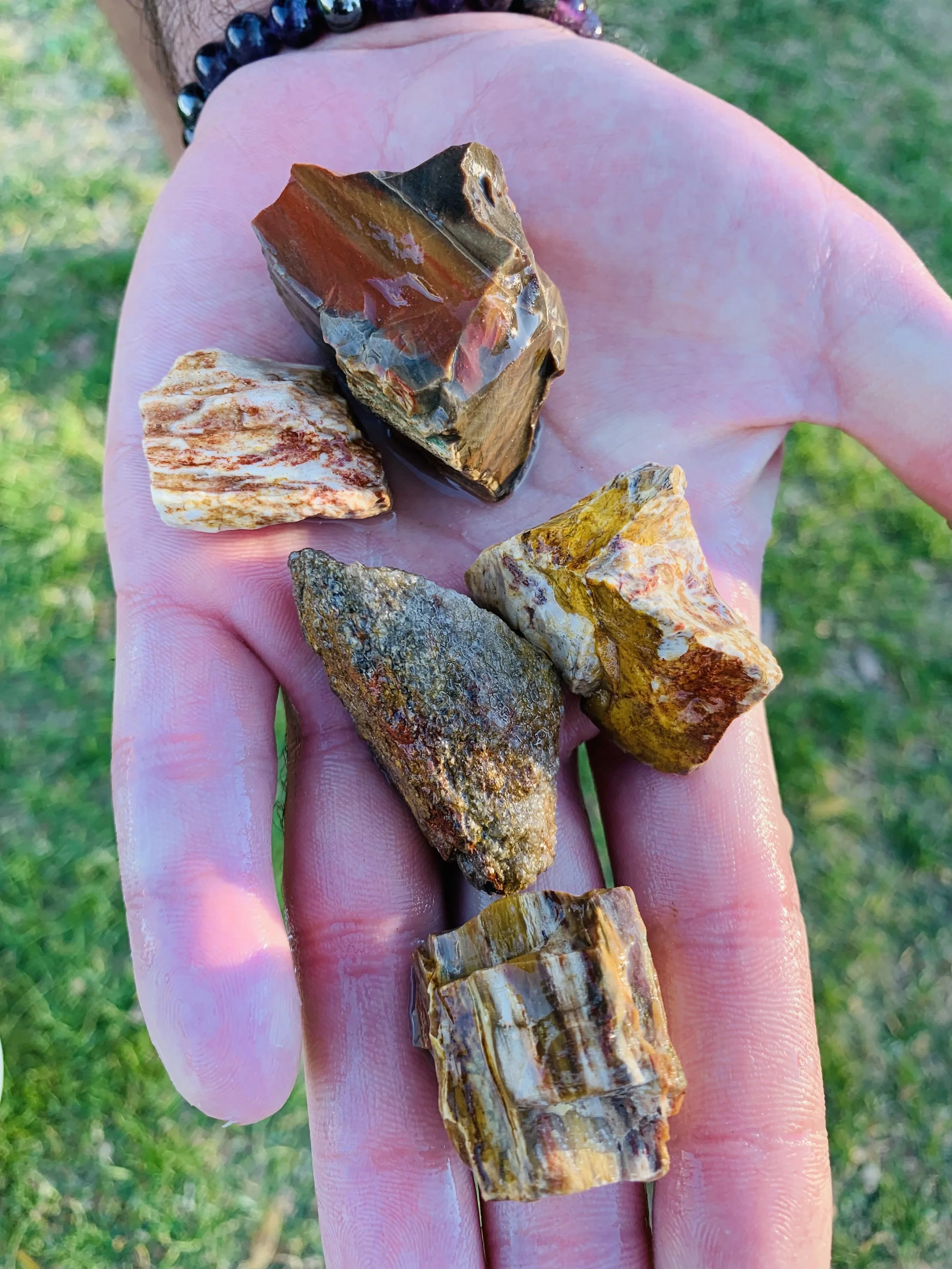 Petrified Wood Stone