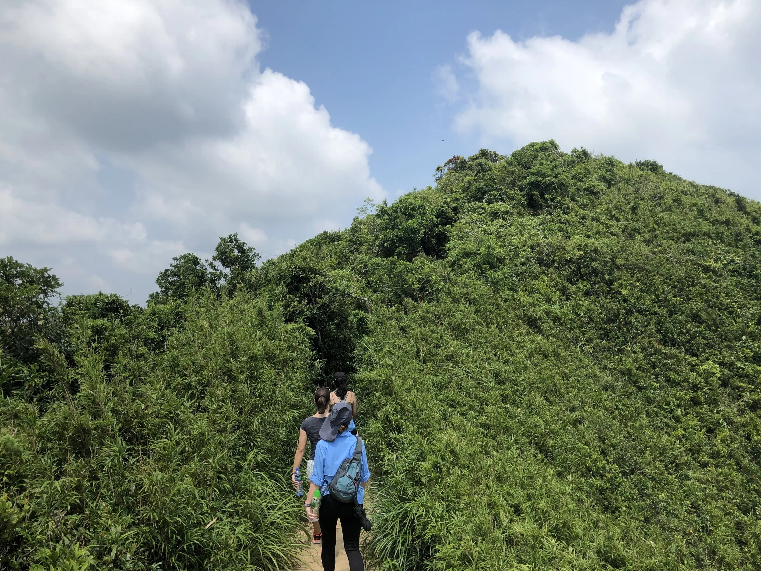 Dragons Have Long Backs — Brian Tsui