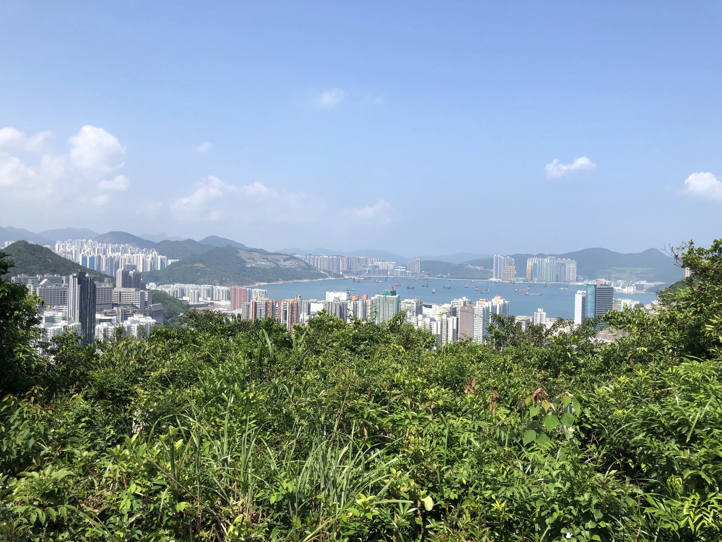 Dragons Have Long Backs — Brian Tsui