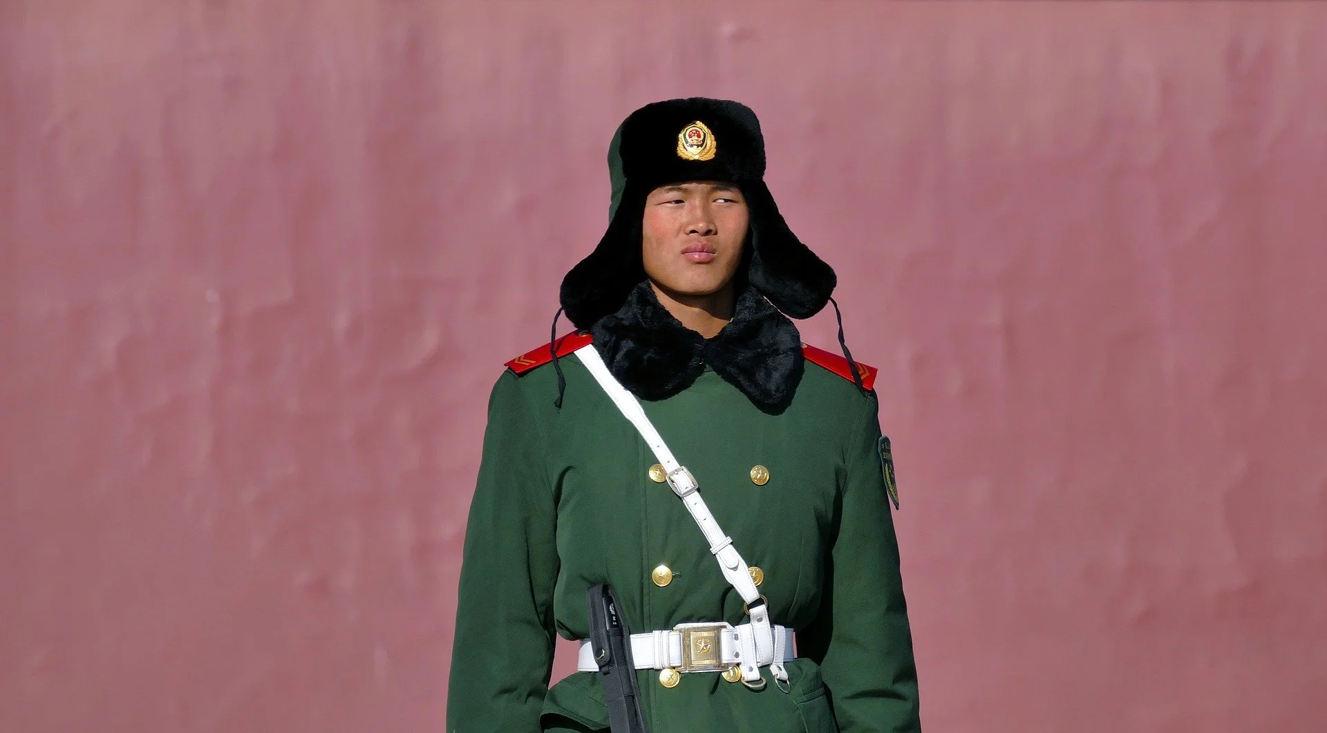 9DASHLINE — Consulting