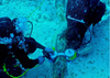 Taiwan’s undersea cables are an Indo-Pacific crisis test