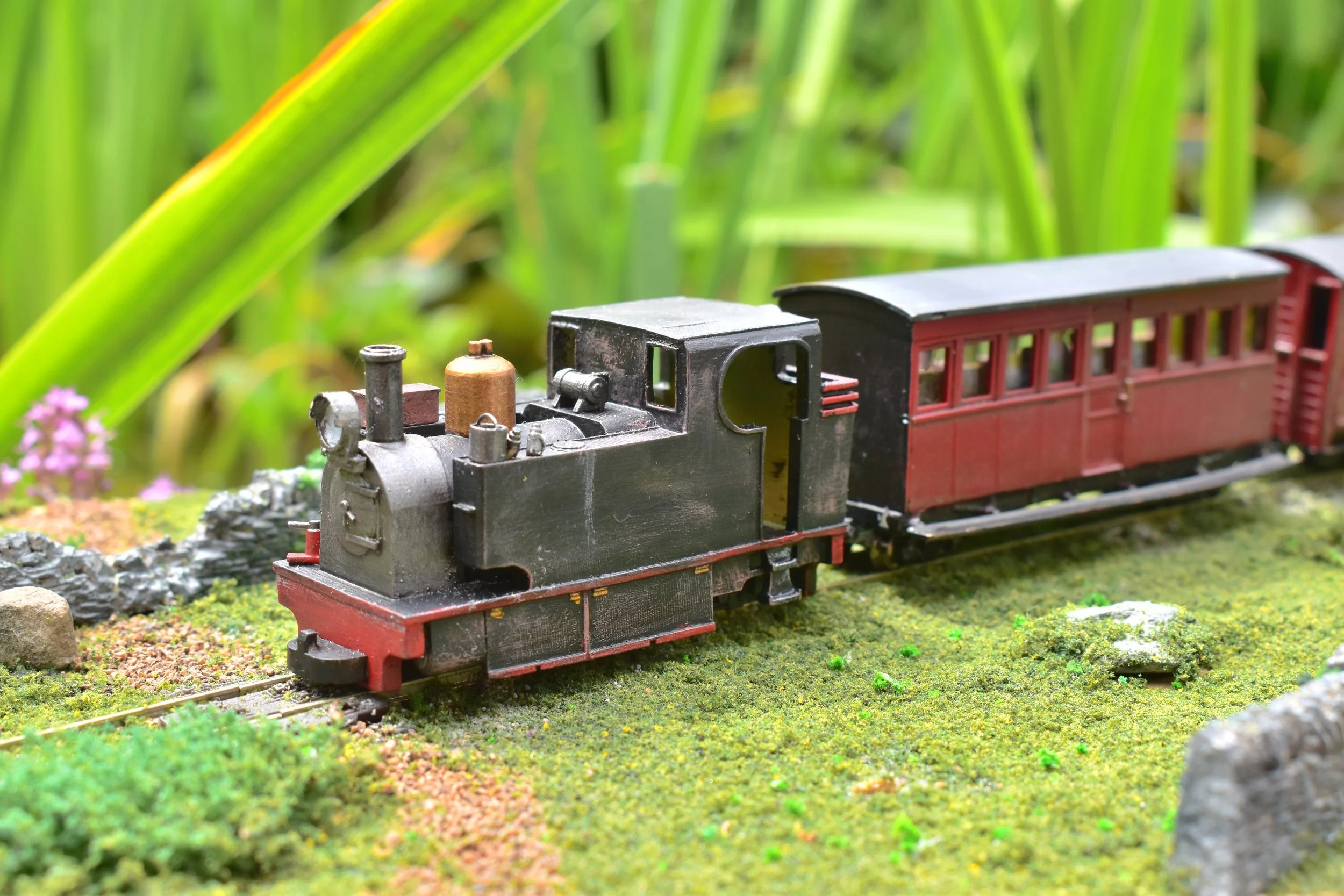 Online Shop — Matt Ditch Photography