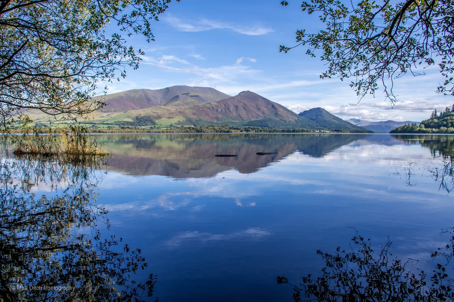 Matt Ditch Photography