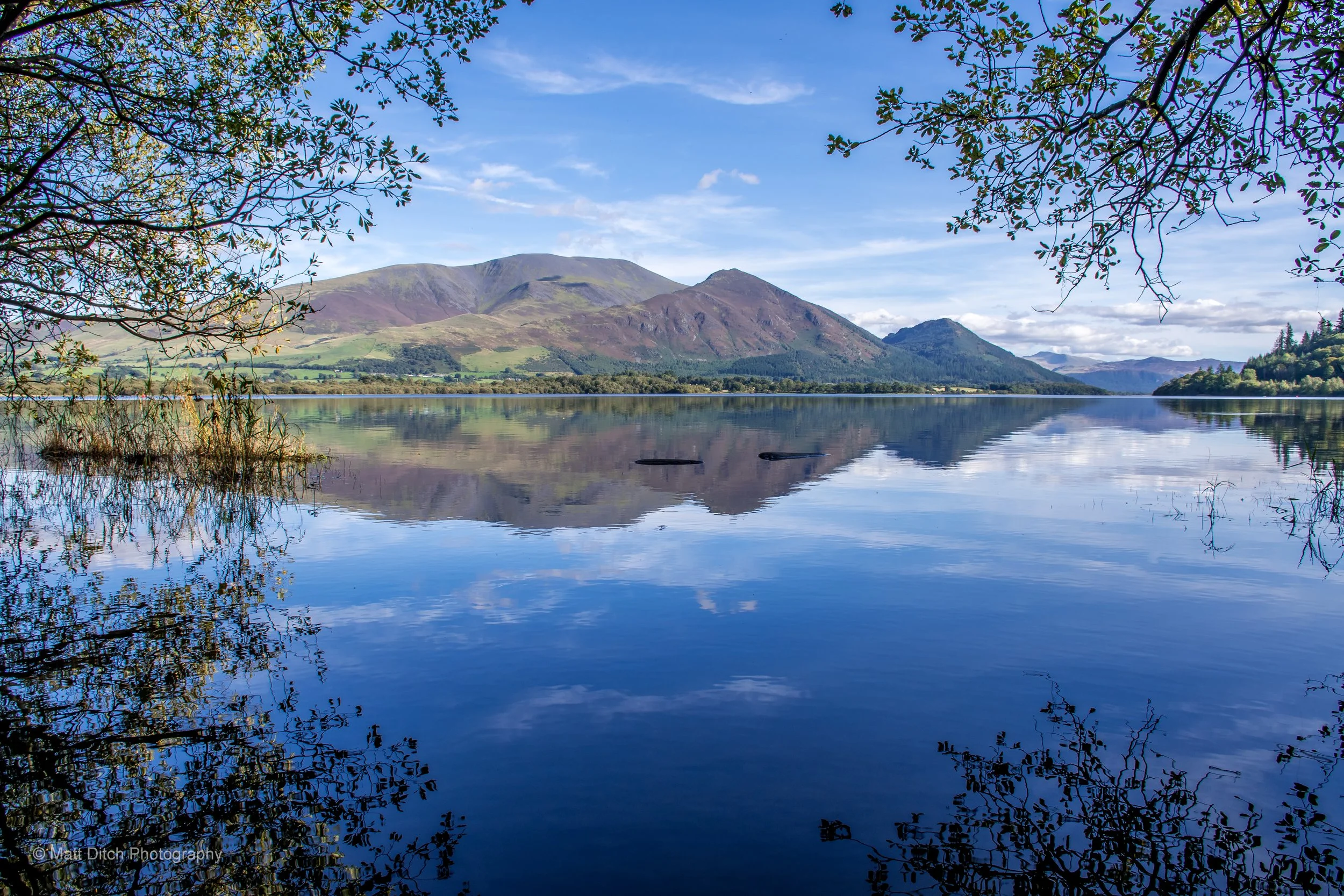 Matt Ditch Photography