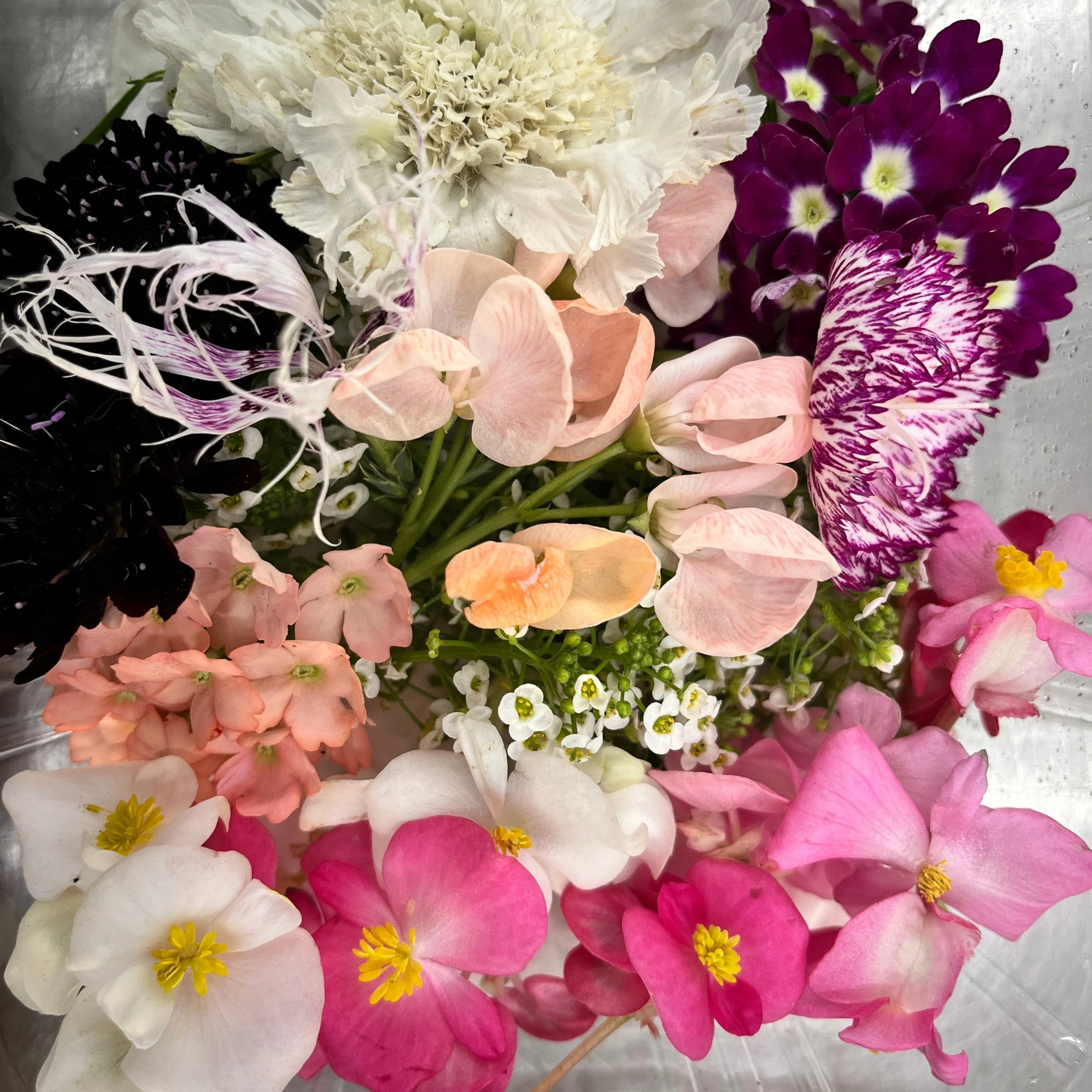 Mix Seasonal Edible Flowers — Hungry Gardens
