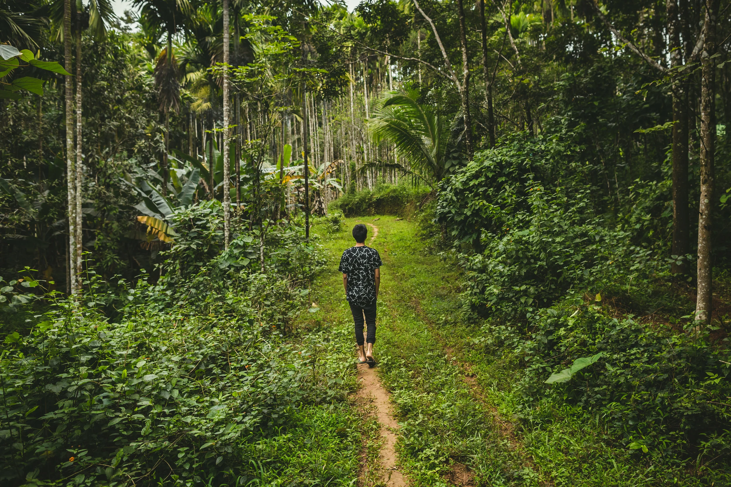 The Kaiizen Foundation