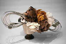 Studio — Judith S. Schwartz