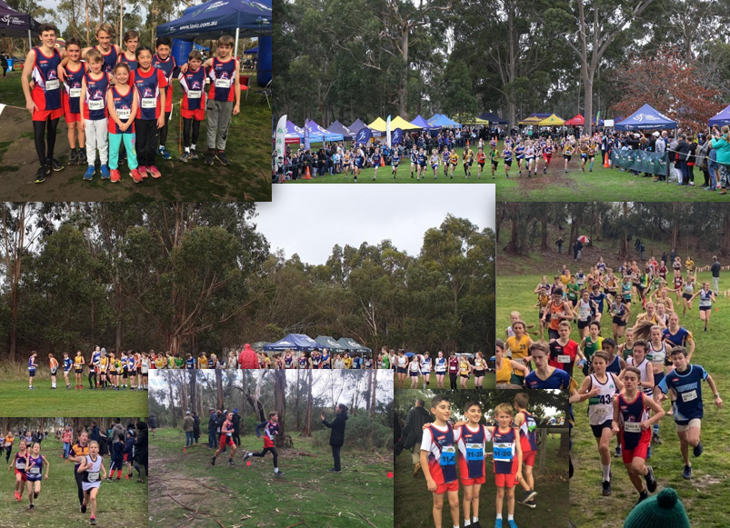 Springvale Little Athletics Centre