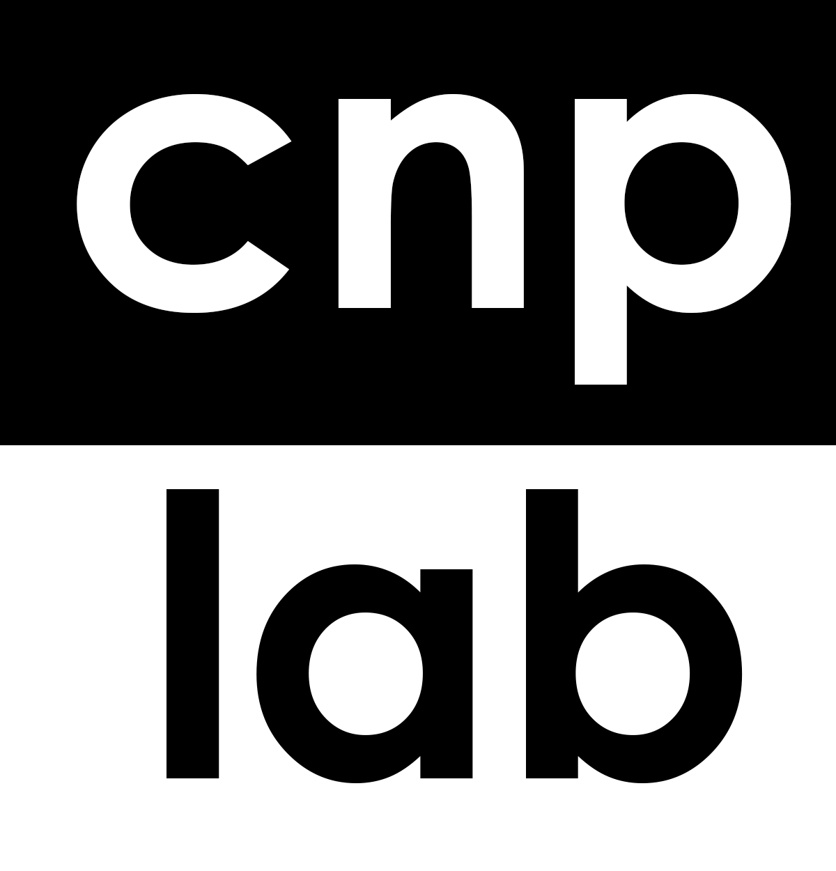 CNP Lab GPT Agent