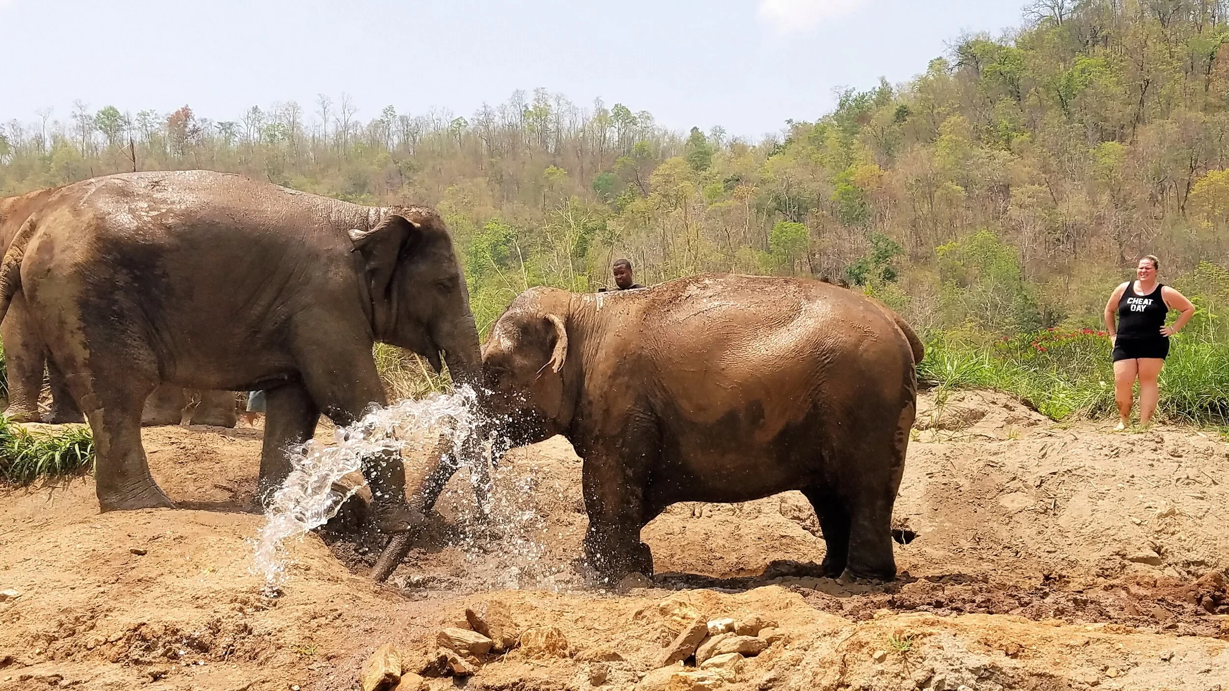Amazing Animal Experiences — Visas and Vistas Travel Blog
