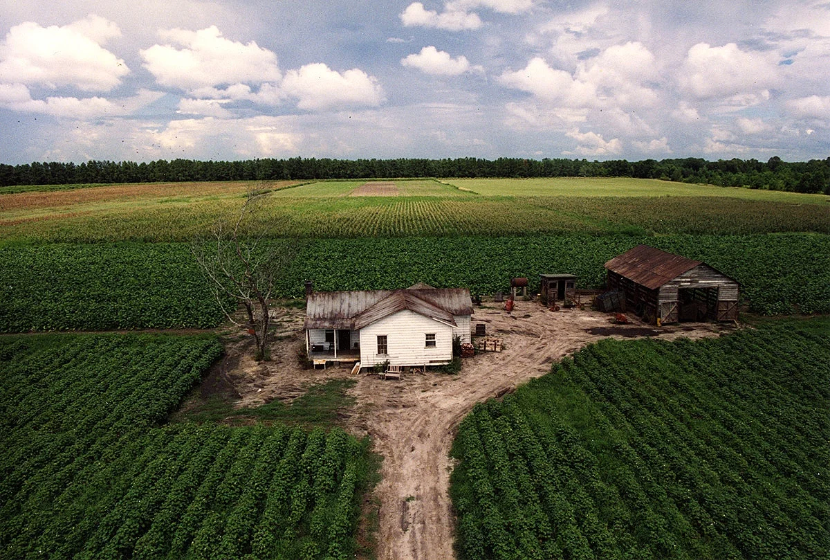 Forrest Gump — Steve Arnold