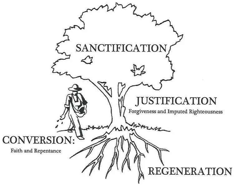 What We Believe — Providence Presbyterian Church