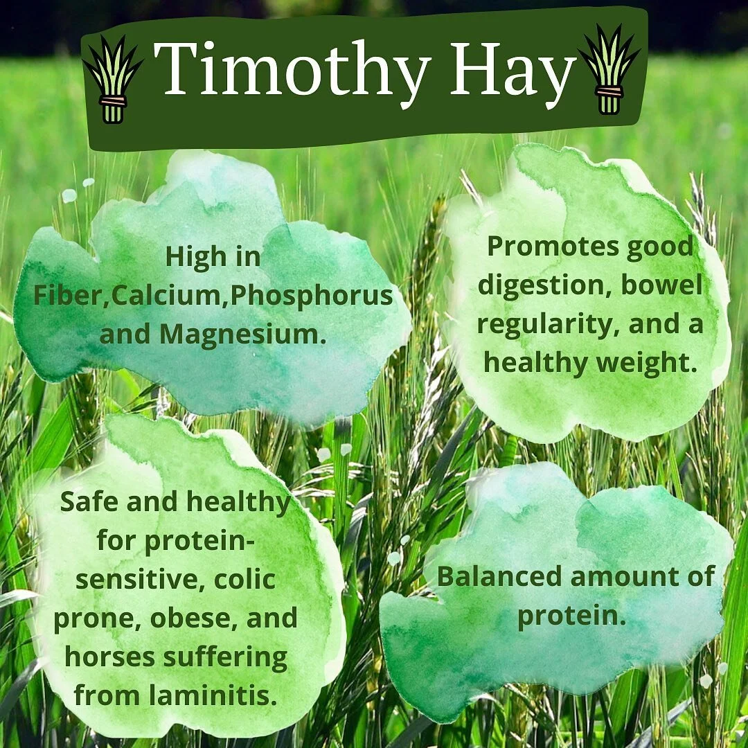 Contact — Bar ALE Livestock Feed