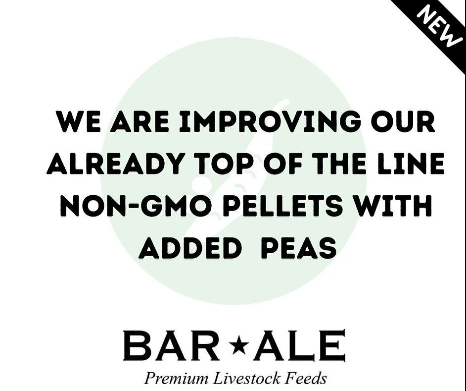 Bar ALE Livestock Feed
