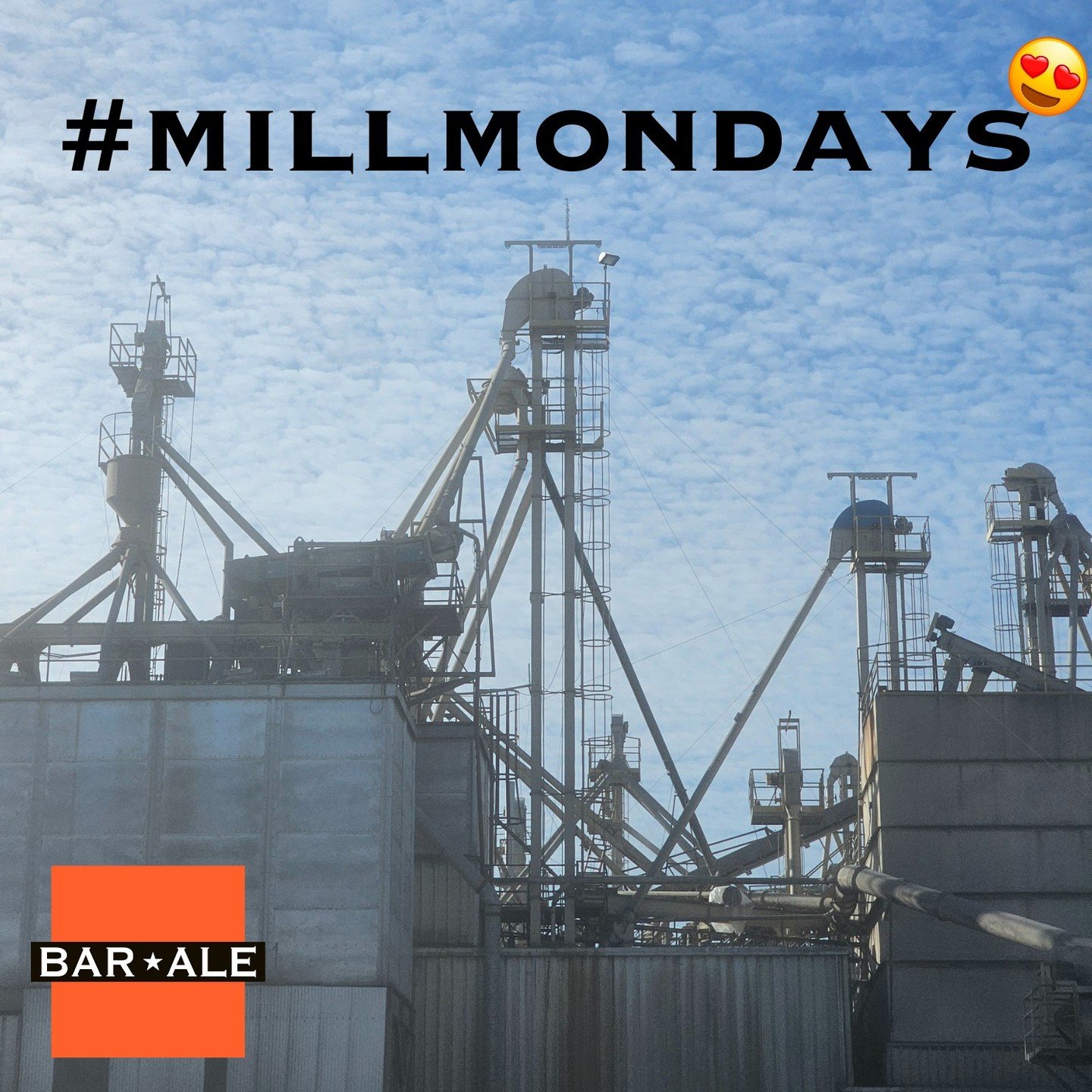 Bar ALE Livestock Feed