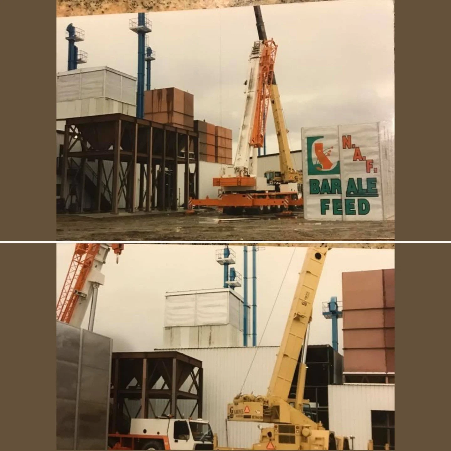 Bar ALE Livestock Feed