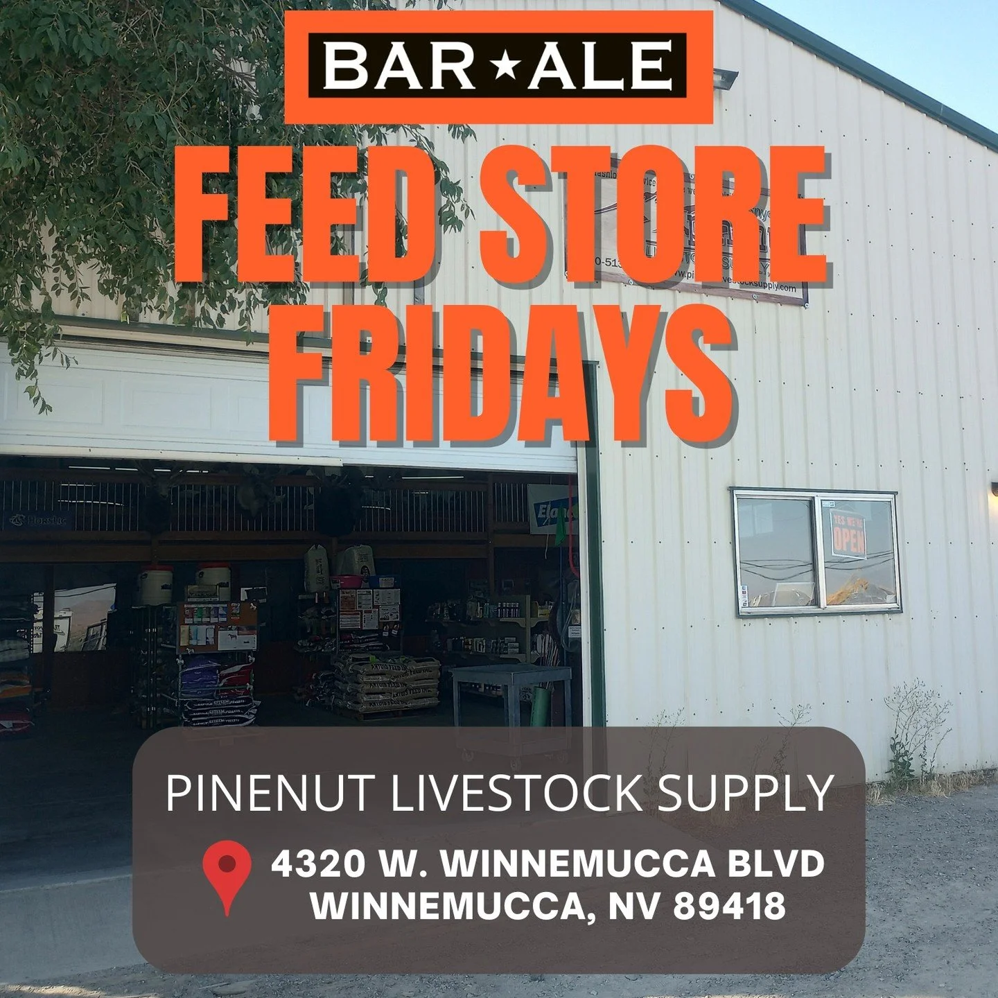 Bar ALE Livestock Feed