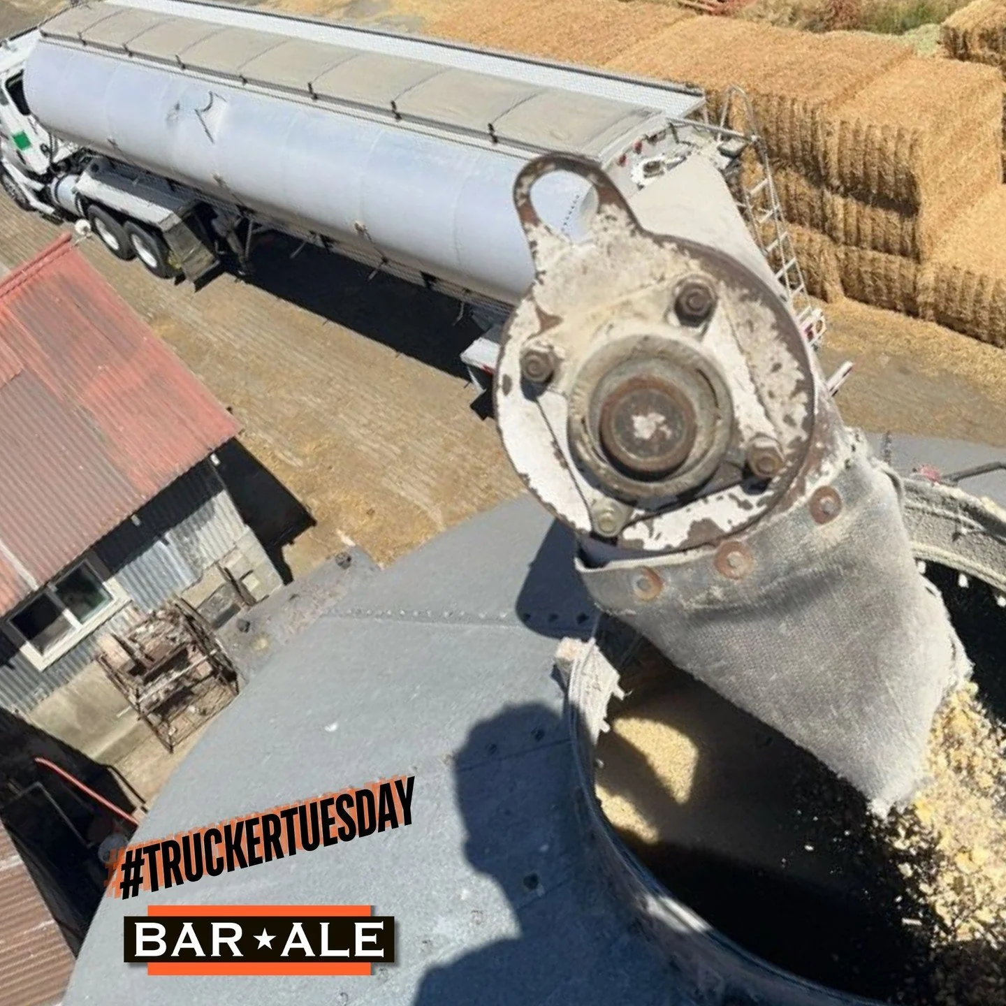 Bar ALE Livestock Feed