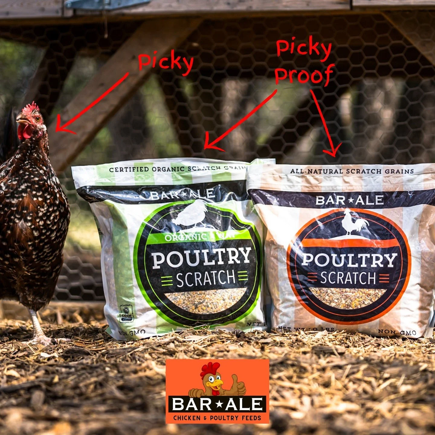 Bar ALE Livestock Feed