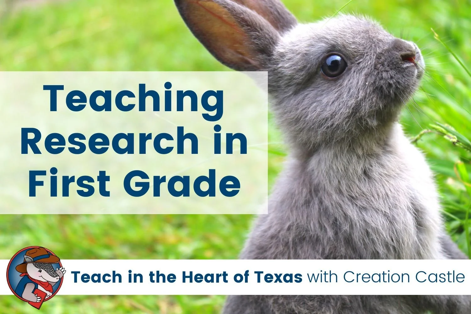 Animals Teach In The Heart Of Texas Blog animals-teach-in-the-heart-of-texas-blog