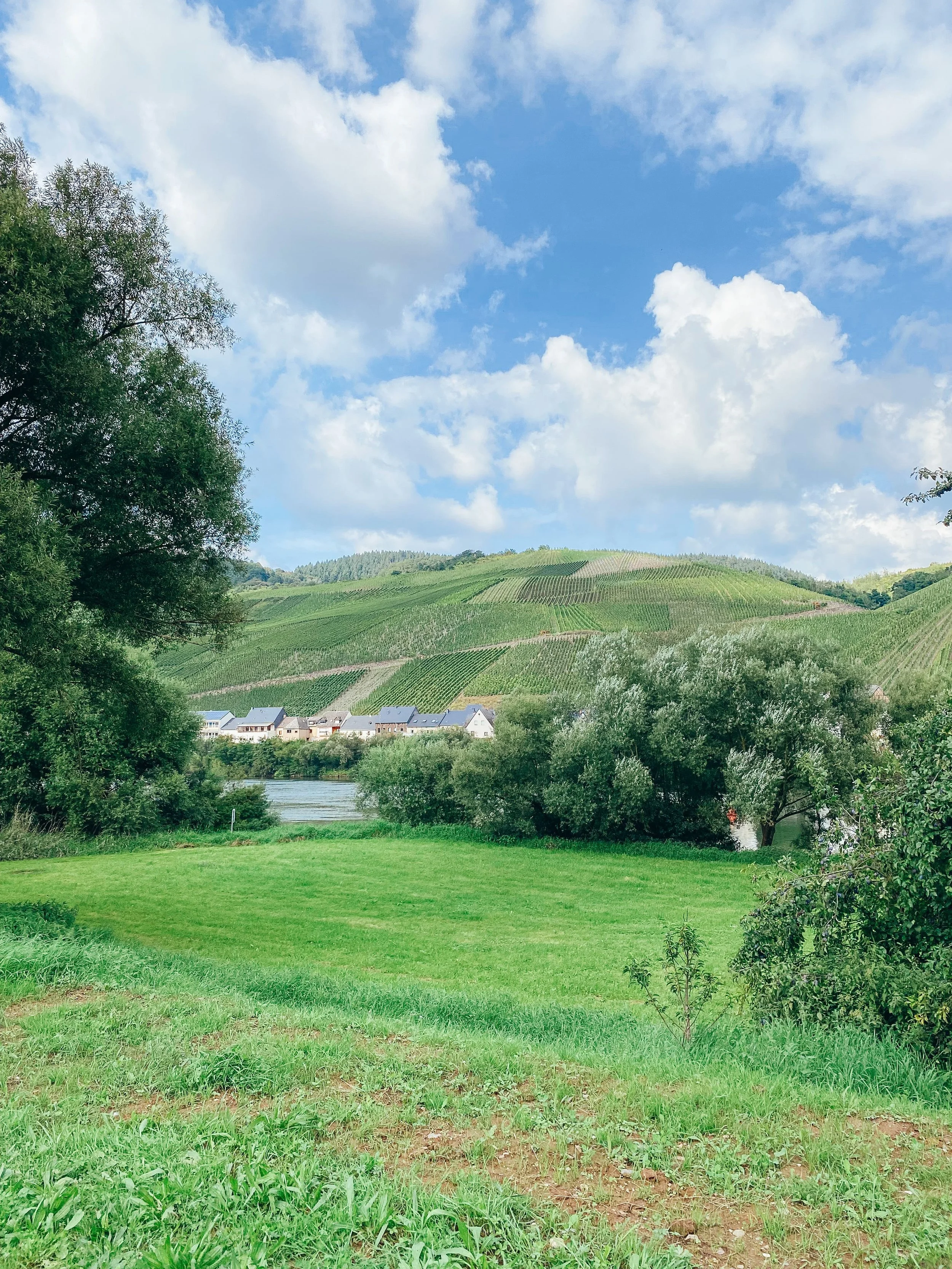 4 Must Visit Wineries in the Mosel Valley (Moselle Valley) of Germany ...