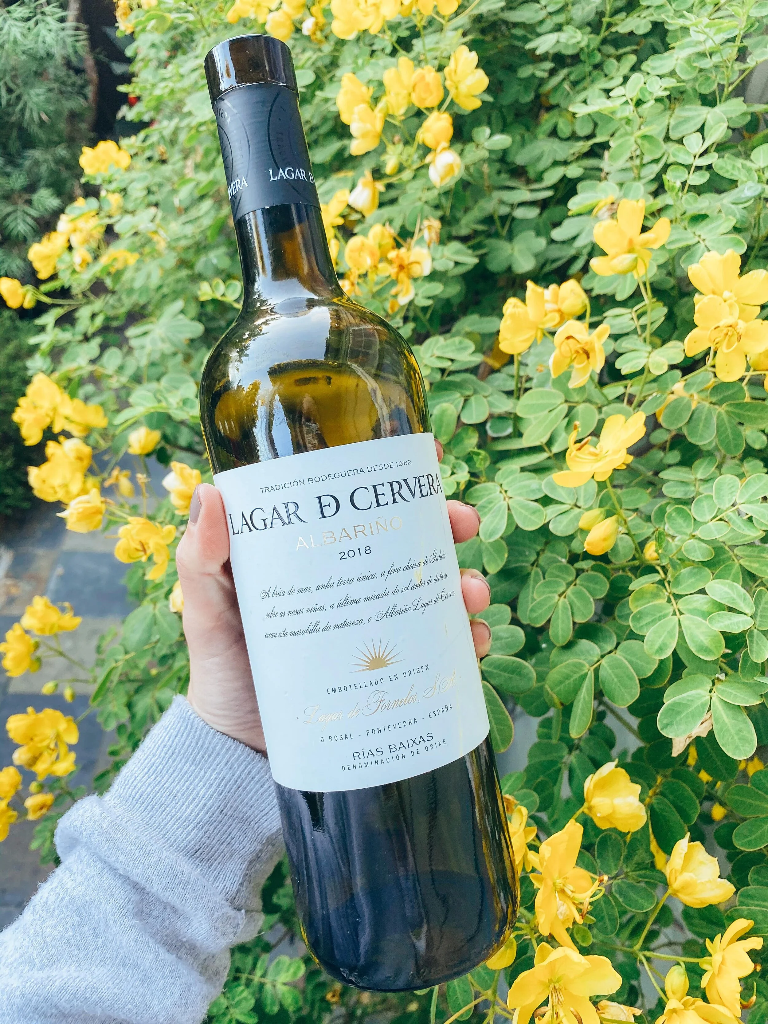 10 White Wines for Fall and Winter — Lexi's Wine List