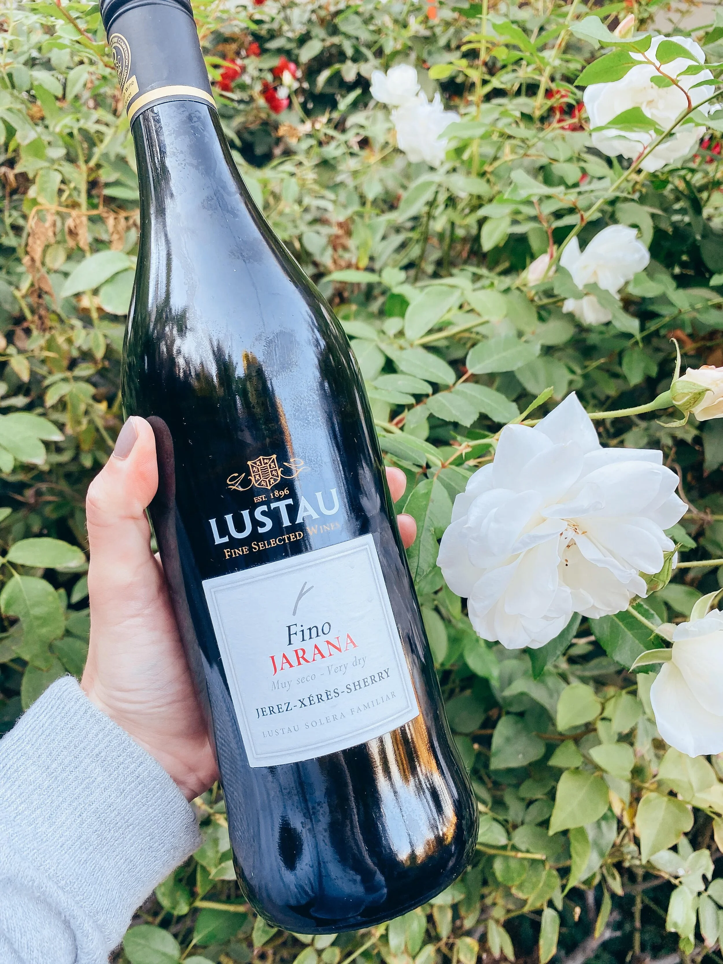 10 White Wines for Fall and Winter — Lexi's Wine List