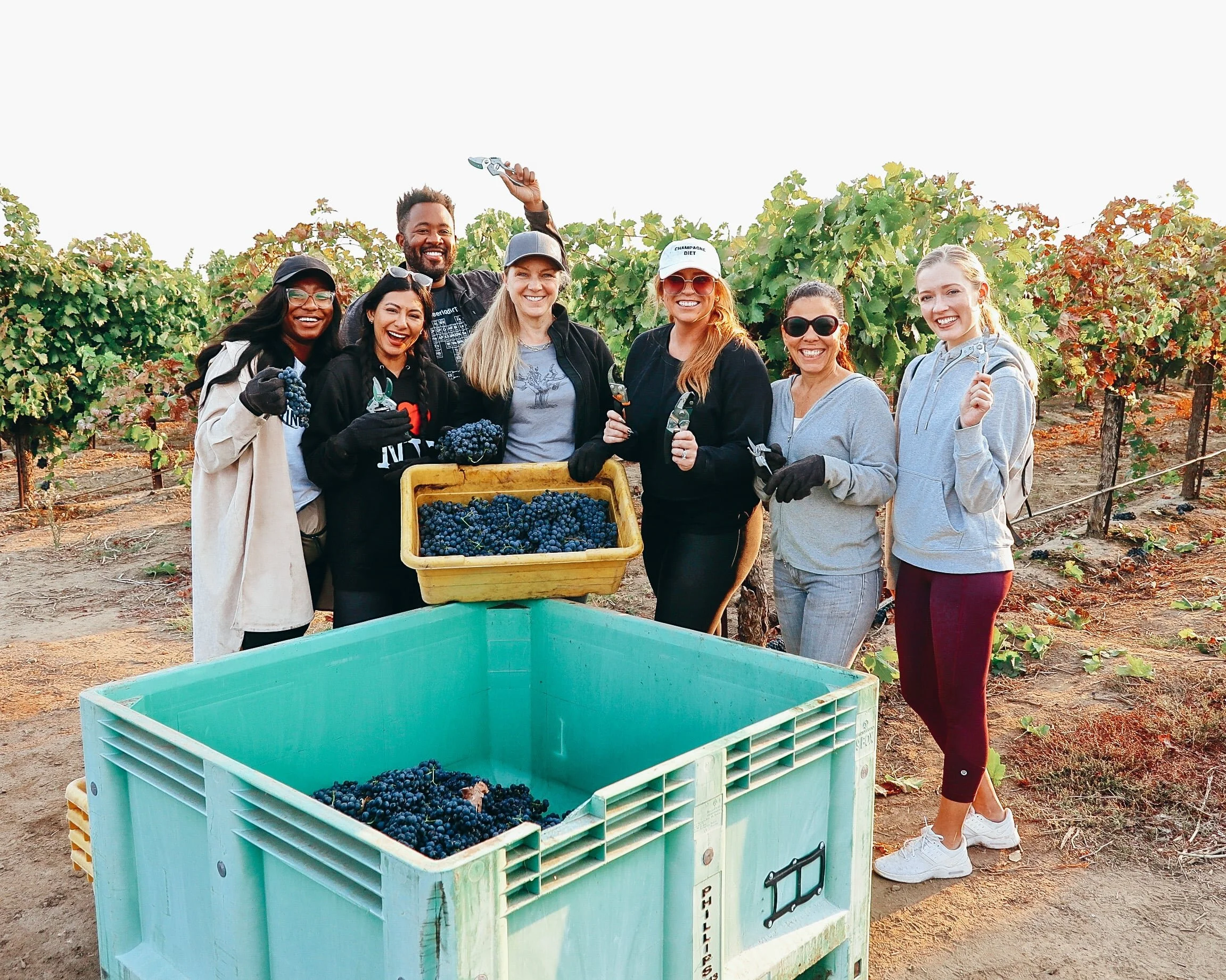 5 Reasons to Visit Lodi Wine Country in California — Lexi's Wine List